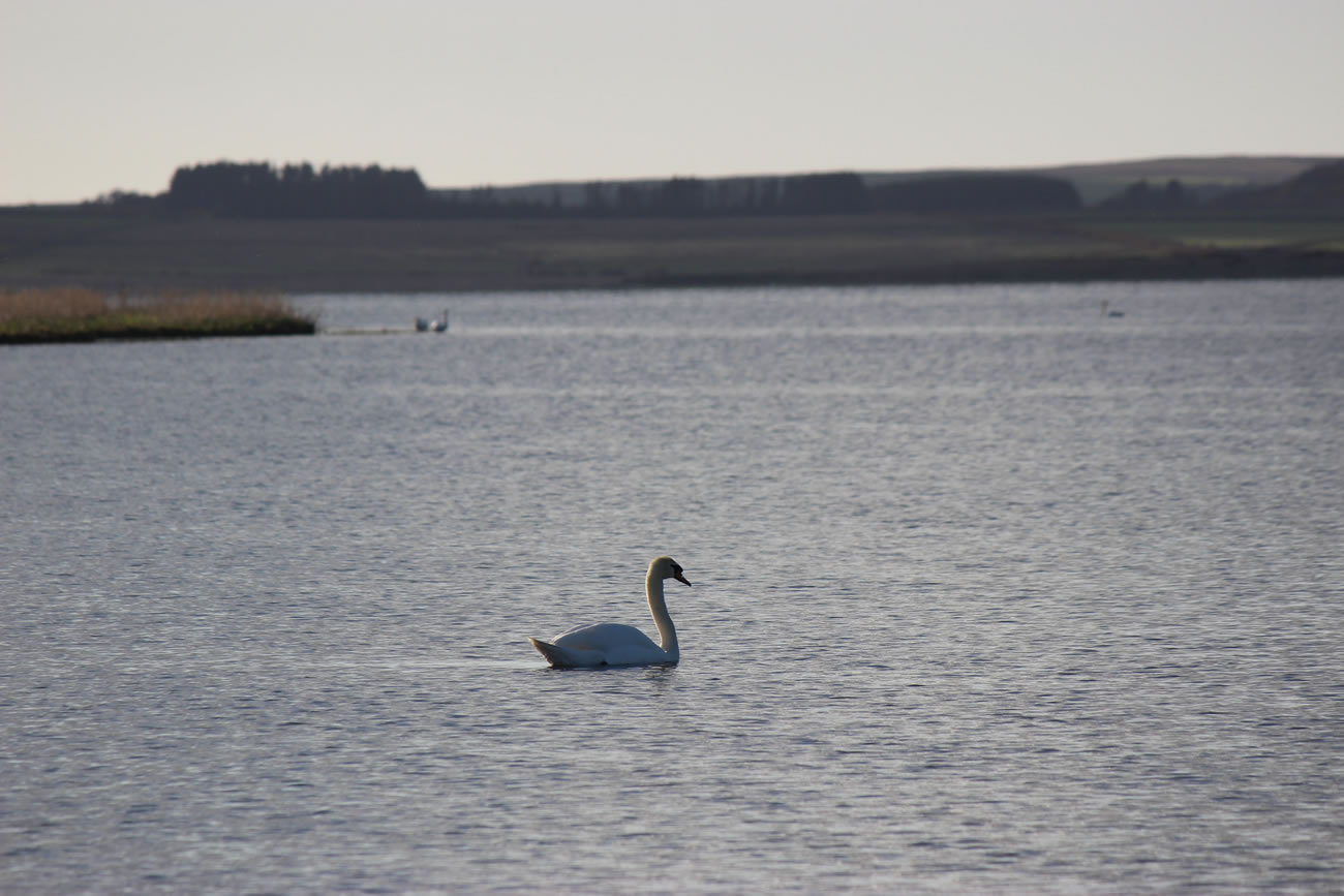 Caithness and Sutherland