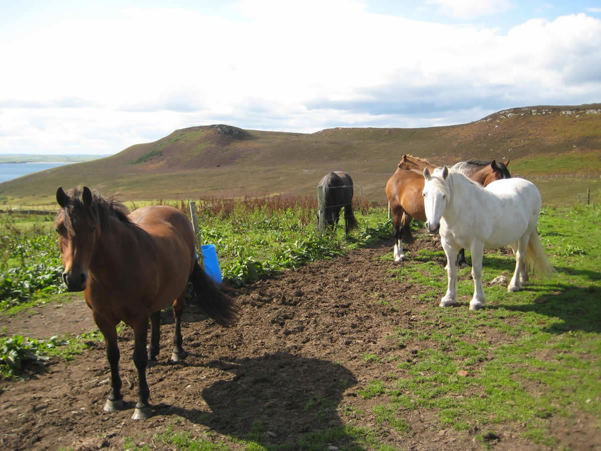 Caithness and Sutherland