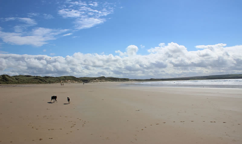 Dunnet Beach, Dunnet Bay Caithness - Scotland
