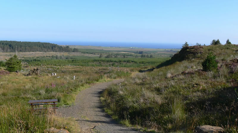 Rumster Forest - Rumster Woodland Walks near Lybster, Caithness, Scotland